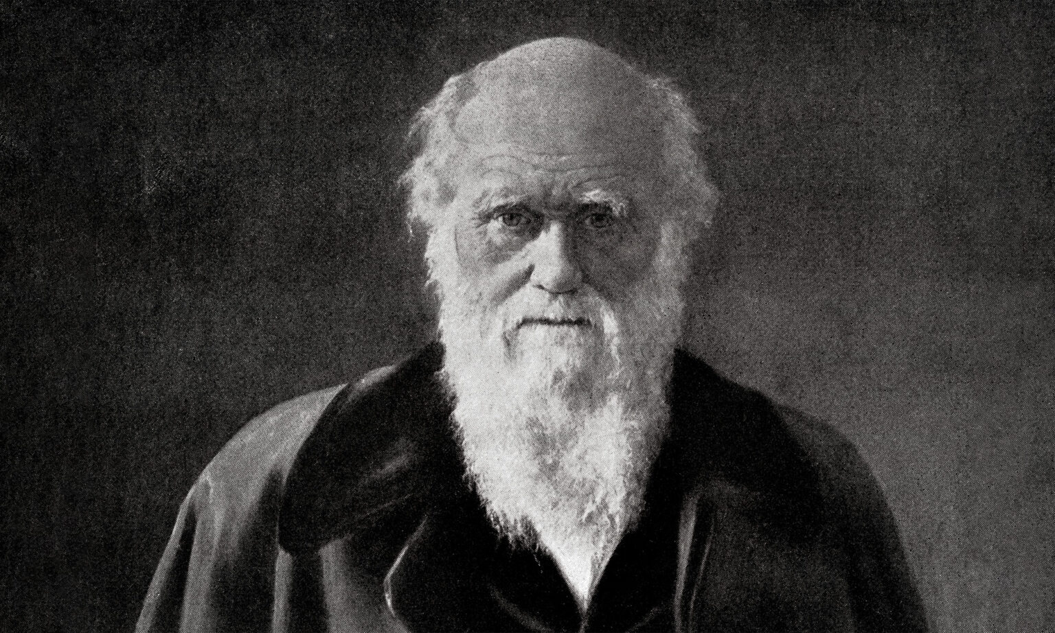 När Darwins teorier kom till Sverige | Forskning & Framsteg