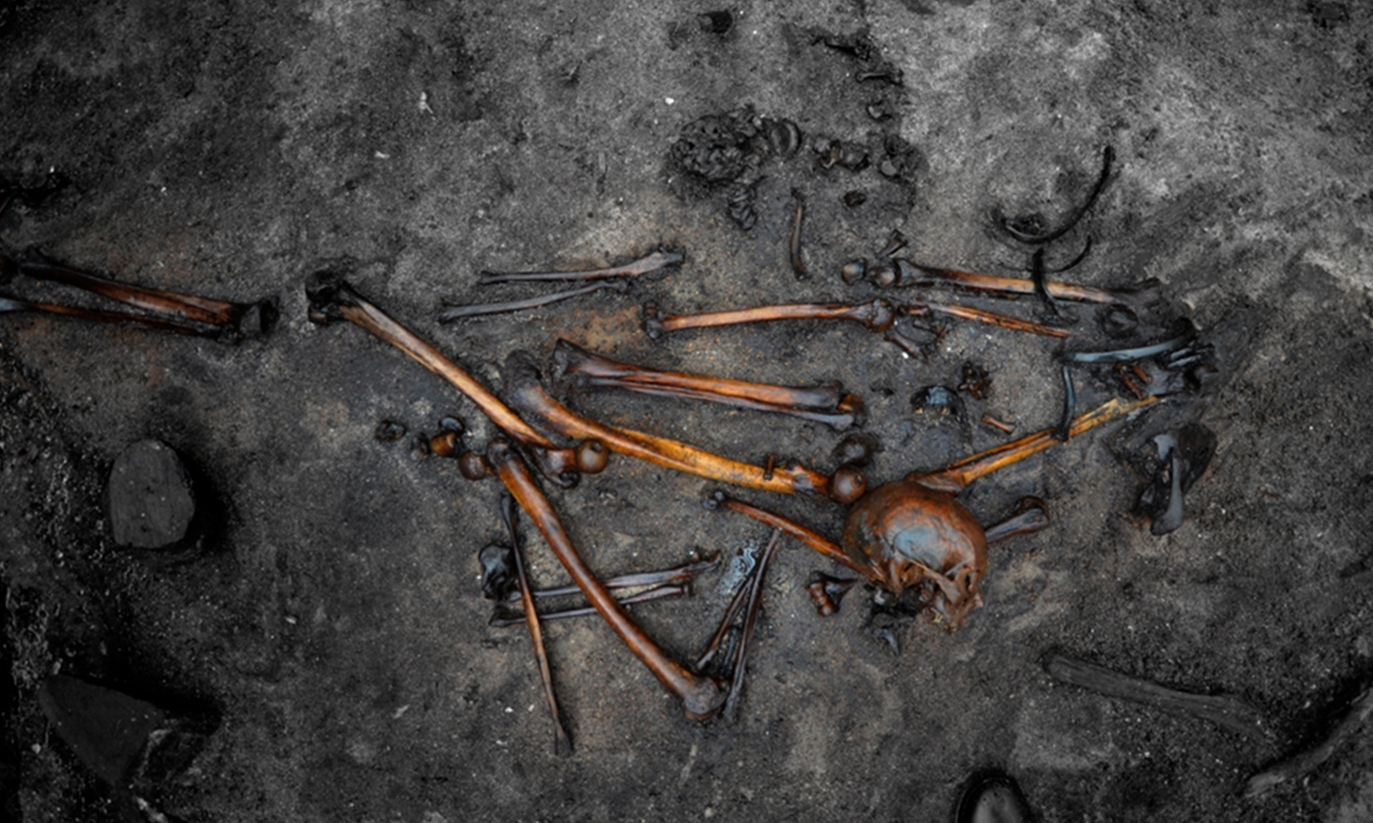 arkeologi Arkiv | Forskning & Framsteg