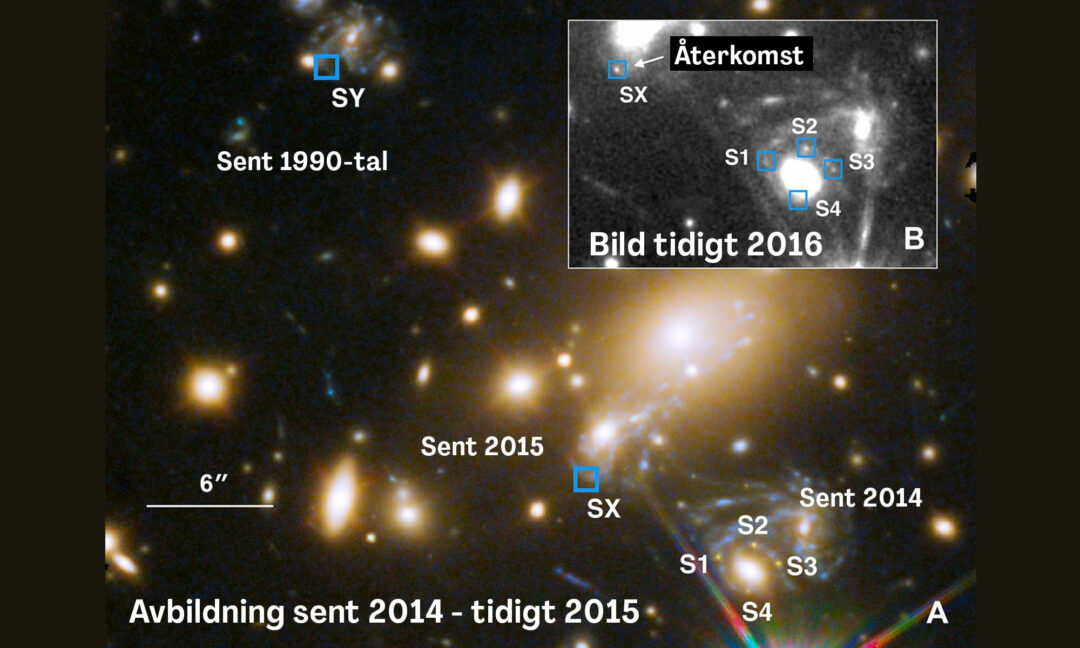 Forskning & Framsteg