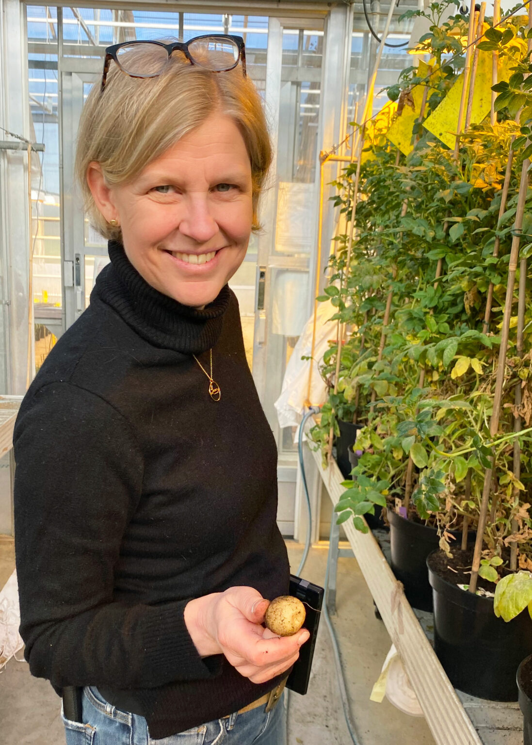 Ska EU ändra sig om gensaxen? | Forskning & Framsteg