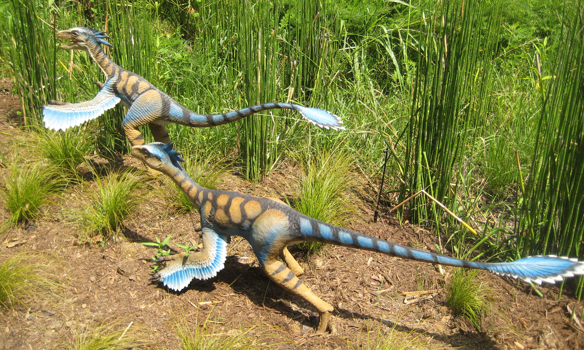 paleontologi | Forskning & Framsteg