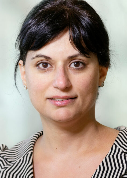 Så tappade Sverige ledartröjan i klimatarbetet | Forskning & Framsteg