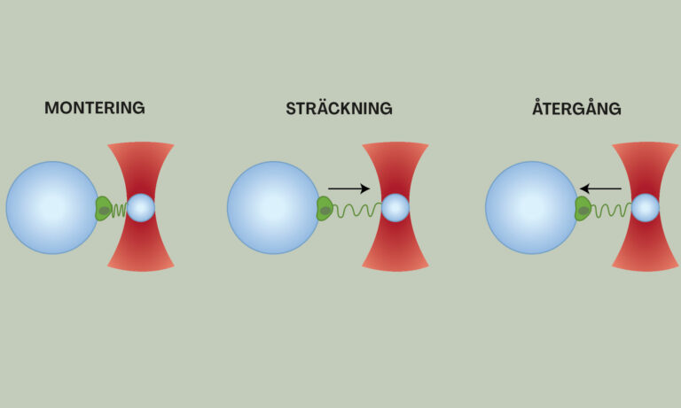 Fysiker dödar giftiga sporer i mjölk | Forskning & Framsteg