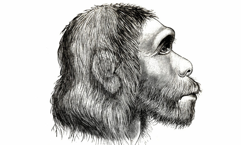 Varför inget neandertal-dna i Afrika? | Forskning & Framsteg