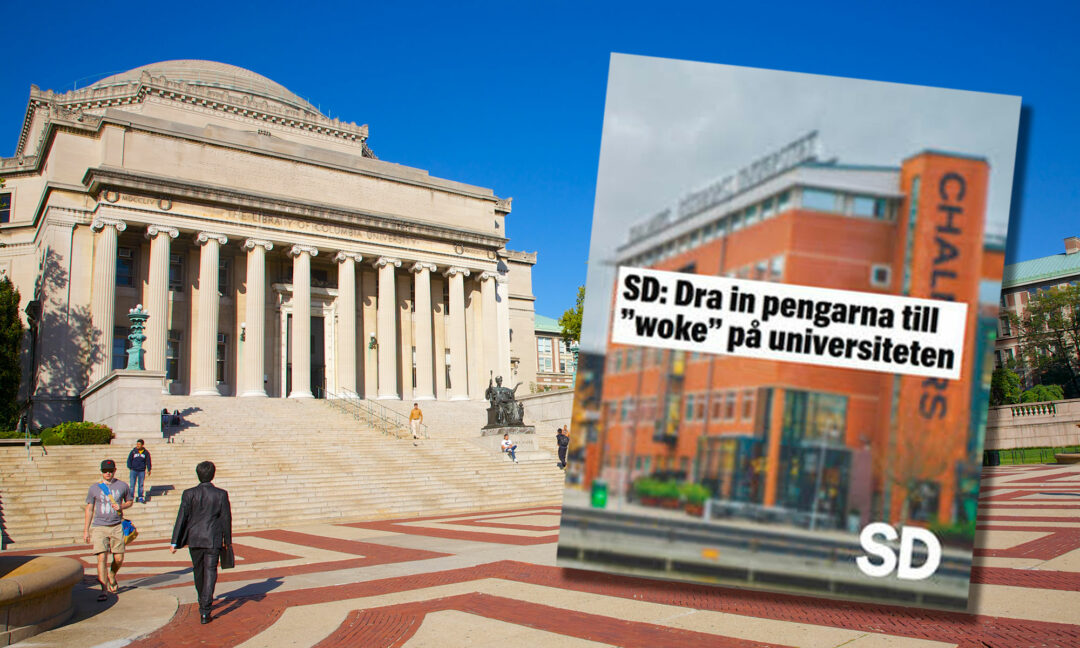 ”Därför ska svenska lärosäten jobba för mångfald och inkludering när ...